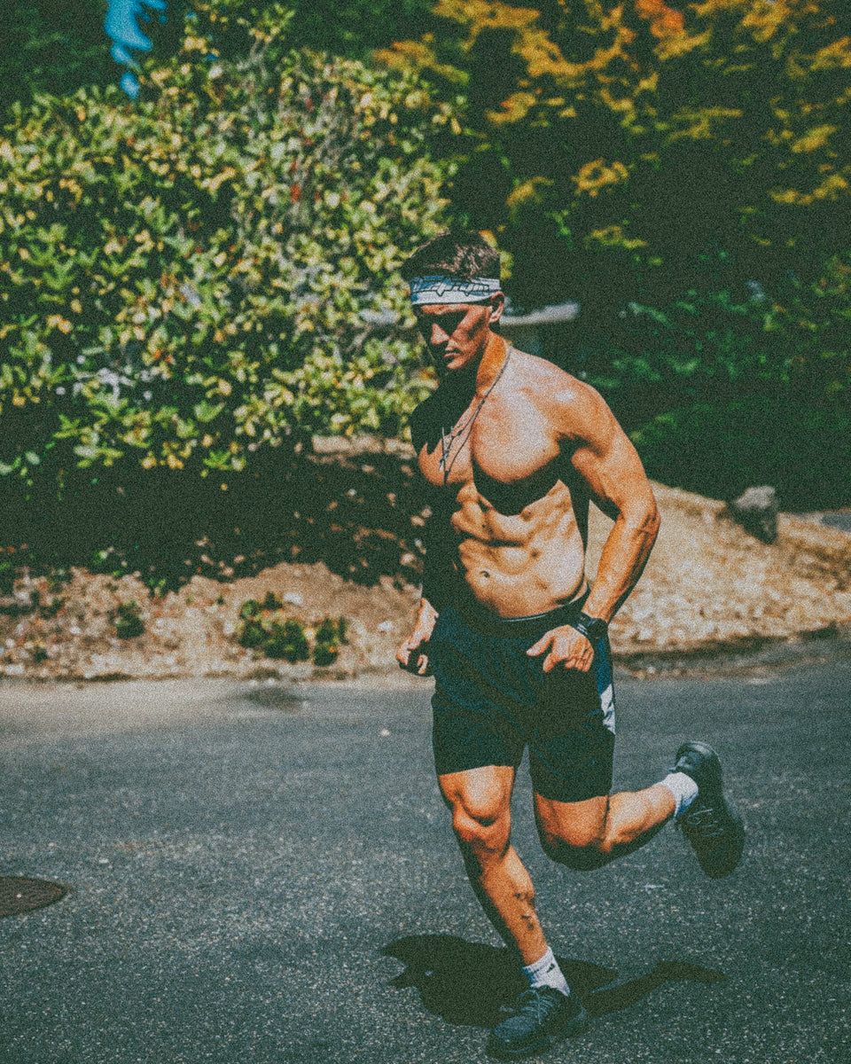 90 Day Hybrid Lean/Bulk Program – Levi Mack